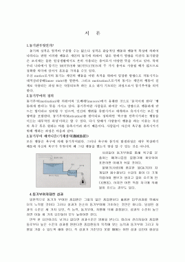 동기부여이론    심리학  메슬로우-1페이지