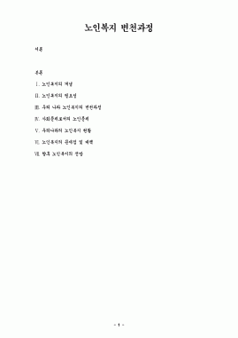 노인복지의 변천과정과 노인복지의 현황과 문제점(노인정책,노인복지정책)-1페이지