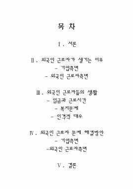 외국인 근로자 복지문제, 임금-1페이지