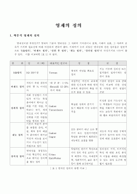 영재의 정의-1페이지