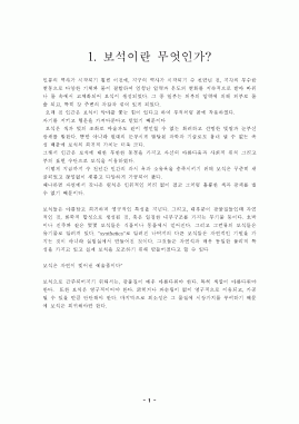 보석의 전반적 상식-1페이지