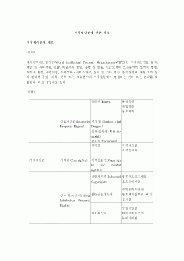 지적재산권 지적재사권의 개요 보호와 제도적 시행 TRIPS의 기본원칙-1페이지