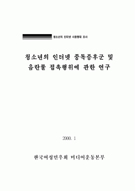 청소년의 인터넷 중독과 음란물 접촉행위 연구-1페이지