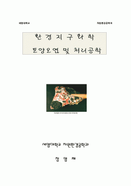 환경지구화학 연구(토양오염 처리공학,환경오염 환경영향평가 토지이용)-1페이지