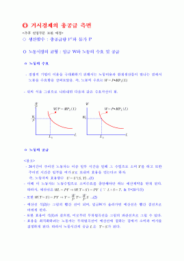 거시경제의 총공급 측면-1페이지