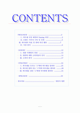 하우젠의 마케팅 전략 연구-1페이지