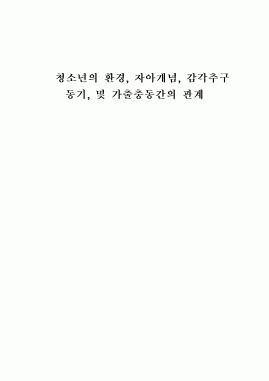  청소년의 환경, 자아개념, 감각추구동기, 및 가출충동간의 관계-1페이지