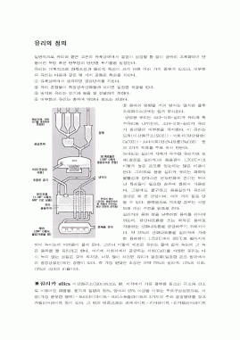 유리에 대하여-1페이지