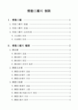 노동삼권의 제한-1페이지