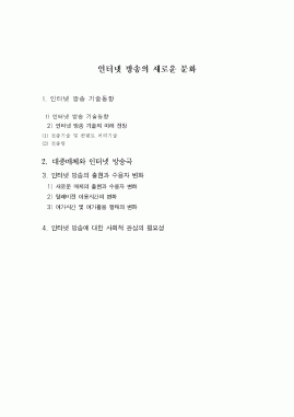 인터넷 방송의 새로운 문화-1페이지