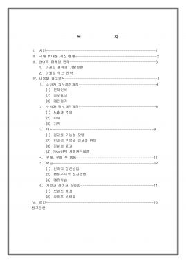 스카이 광고분석 (광고전략 광고 SK 이동통신 소비자행동 마케팅전략 경영-1페이지