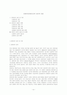 문화재(문화유산)의 보존과 유출-1페이지