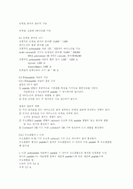 단백질 분자의 물리적 구조-1페이지