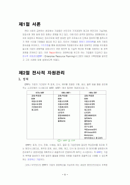 [사회과학] ERP(Enterprise Resource Planning) -1페이지