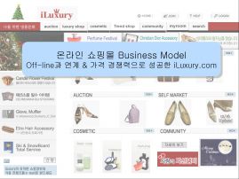 온라인쇼핑몰 Business Model iLuxury.com-1페이지