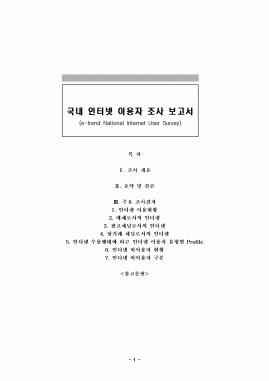 국내 인터넷 이용자 조사보고서-1페이지