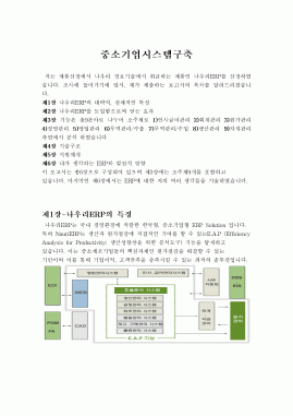 (ERP 사례)중소기업 시스템구축, 나우리-1페이지