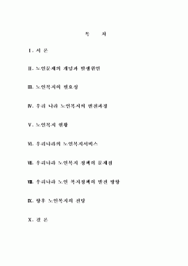 노인복지의 문제점과 향후전망-1페이지