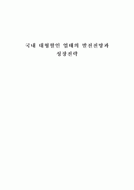 (할인점)  국내 대형할인 업태의 발전전망과 성장전략-1페이지