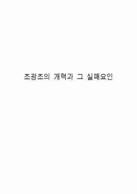 조광조의 개혁과 그 실패요인-1페이지