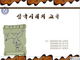 삼국시대 교육의 의의-1페이지