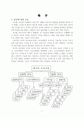 축구 학습지도안-1페이지