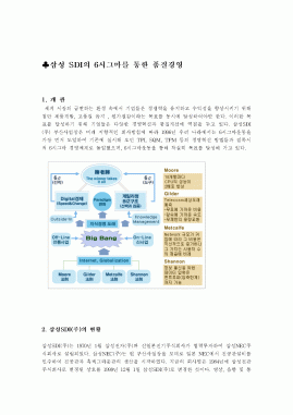 6시그마를 통한 품질경영(삼성SDI)-1페이지