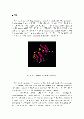 GM-CSF Signaling Pathways and Anti-apoptotic Activ-1페이지