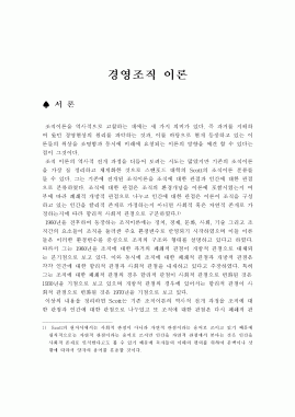 *경영조직이론* 의 총체적인 분석..-1페이지