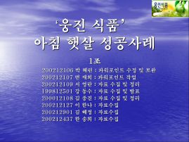 아침햇살 마케팅전략-1페이지