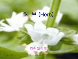 허브(프리젠테이션)-1페이지