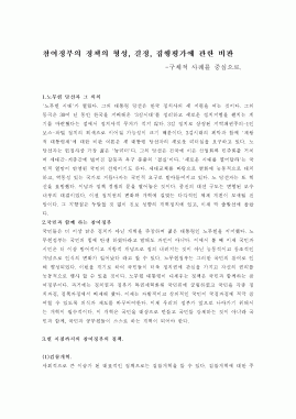 참여정부의 정책의 형성, 결정, 집행평가에 관한 비판-1페이지