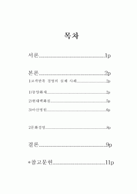 고객만족 경영의 실제 사례를 문화경영관점에서 분석-1페이지