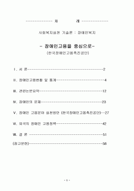 사회복지실천 기술론 : 장애인복지-1페이지