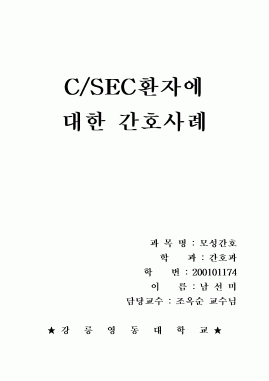 c/sec 에 대한 간호사례-1페이지