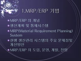 MRP/ERP전망-1페이지