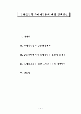 금융산업의 소비자금융에 대한 정책방안-1페이지