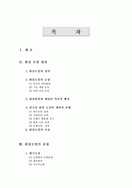 환경오염의 유형별 실태와 대처방안에 대한 연구(피해사례제시)-1페이지