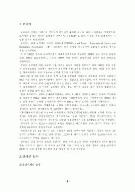 [체육대]-장애인 스포츠의 종류-1페이지