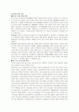 문화적차이발생의원인-1페이지