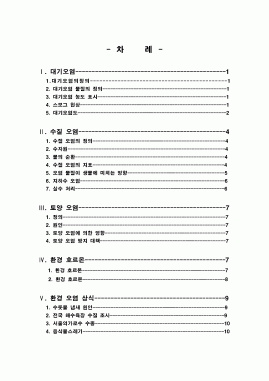 환경오염 (디기오염, 수질 오염, 토양오염)-1페이지