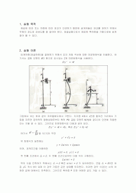 [공학/컴퓨터/통신] 좌굴실험 -1페이지