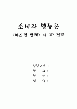 [마케팅] 파스형 핫팩 4p 전략-1페이지