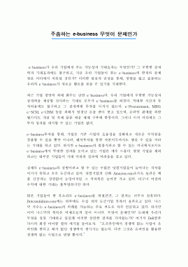 주춤하는 e-business 무엇이 문제인가-1페이지