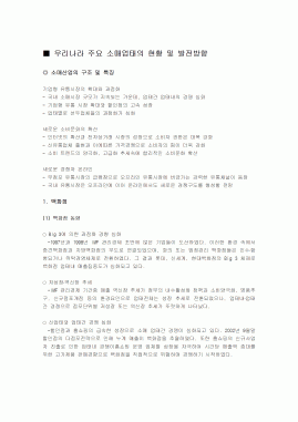 우리나라 주요 소매업태의 현황 및 발전방향-1페이지