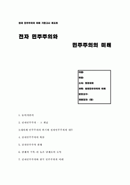 전자 민주주의와 민주주의의 미래-1페이지