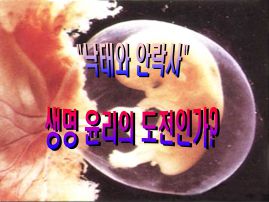 낙태와 안락사를 둘러싼 생명윤리-1페이지