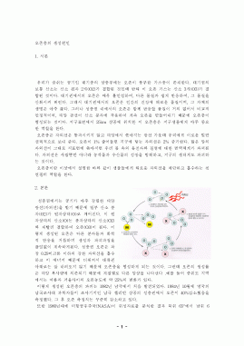 오존층의 생성원인-1페이지