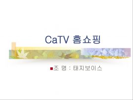 tv홈쇼핑의마케팅-1페이지