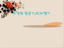 초경량항공기RC비행기-1페이지